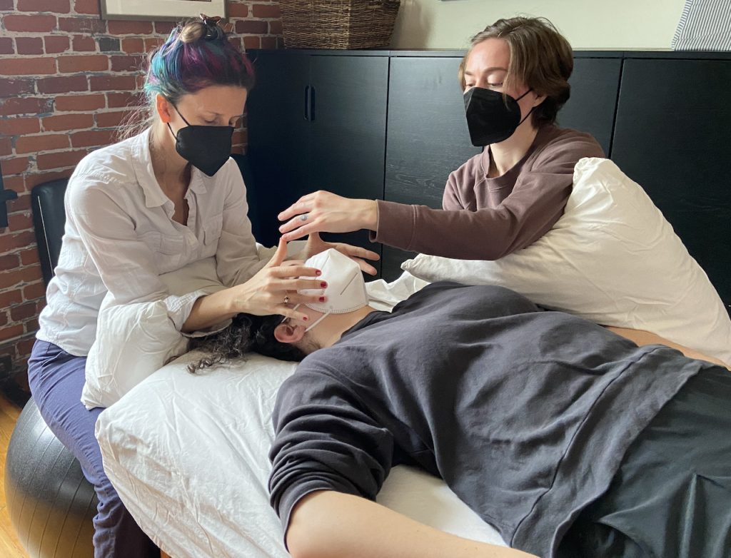 General CST Certification – The Carol Gray Center for CST Studies